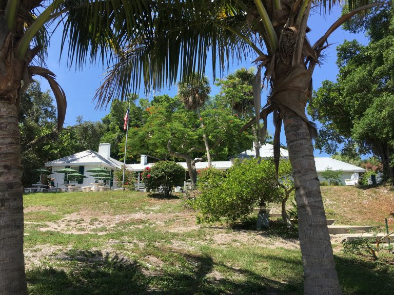 Boating To Cabbage Key And Cayo Costa – Dolphins, Old Florida, And ...
