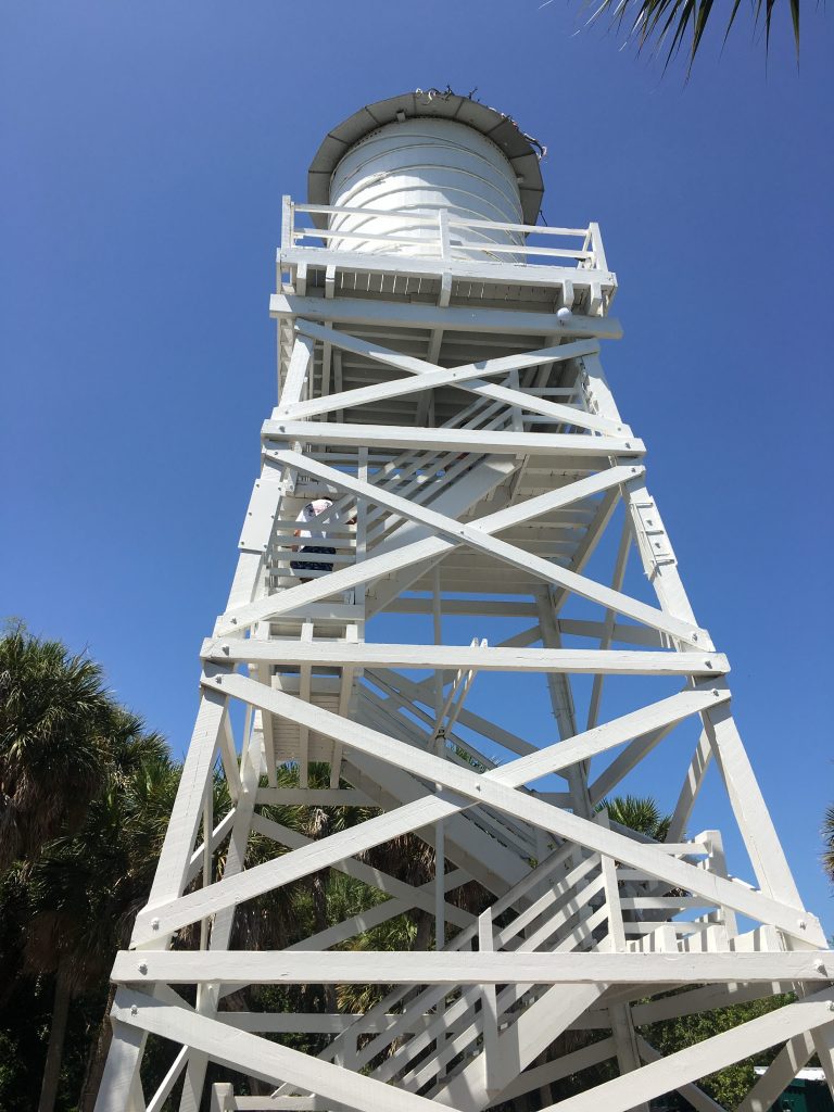 Boating To Cabbage Key And Cayo Costa – Dolphins, Old Florida, And ...