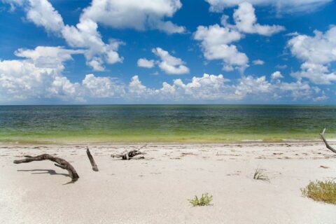 This Remote, 112-acre Island Is One of Florida’s Best-kept Secrets ...