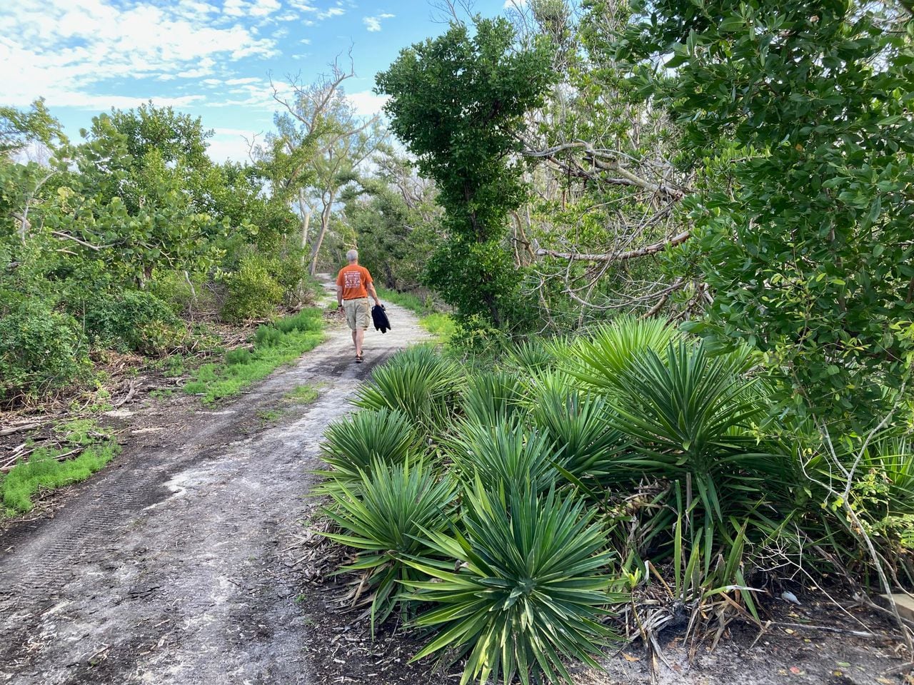 Overnight on Cabbage Key, for a cheeseburger (and more) in old-Florida ...