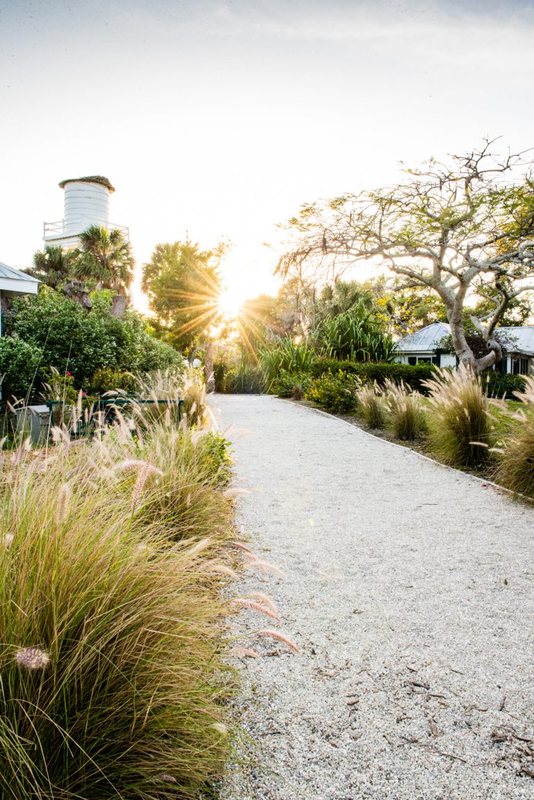 What to expect at Cabbage Key | Cabbage Key Inn & Restaurant